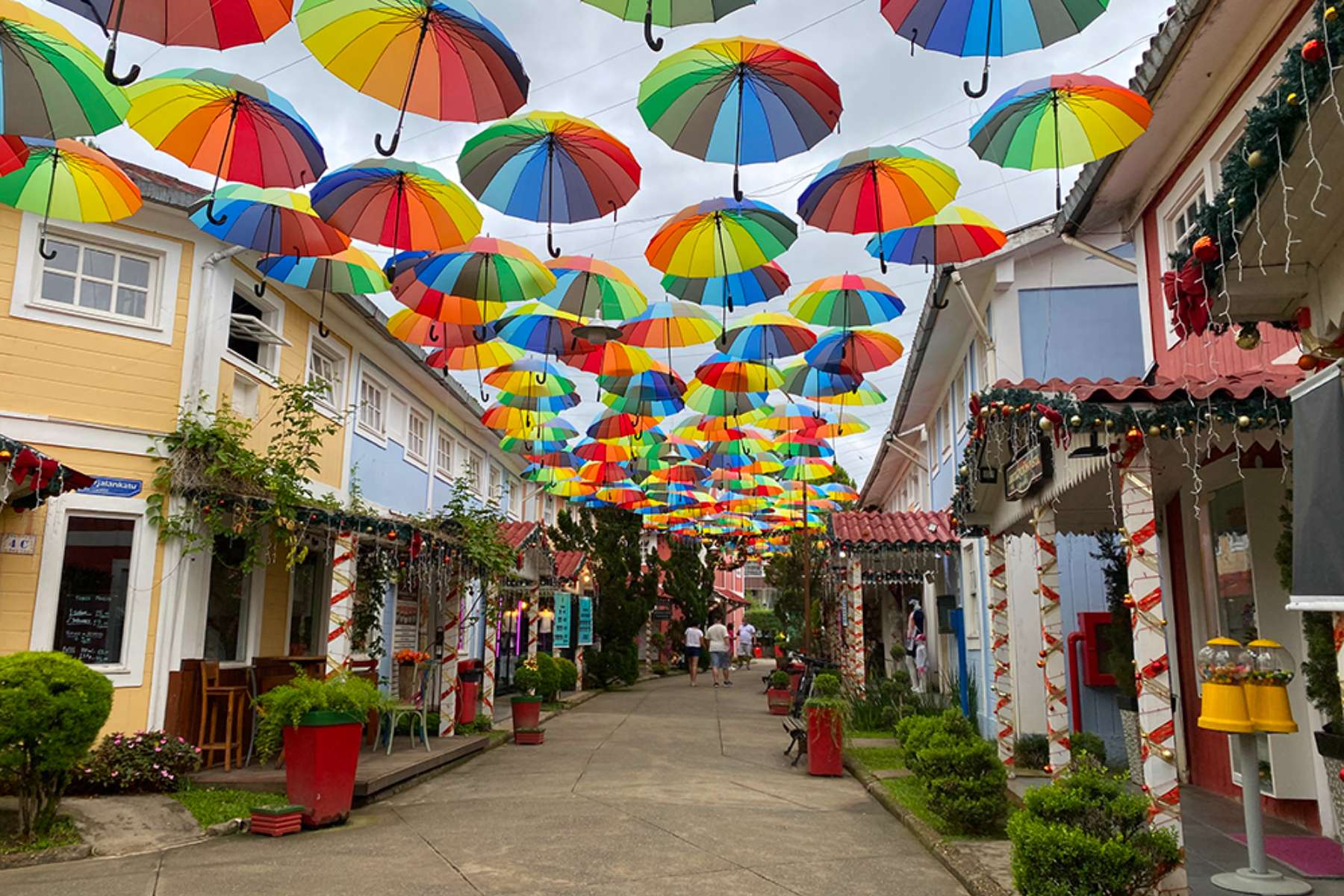 Excursão Penedo - RJ